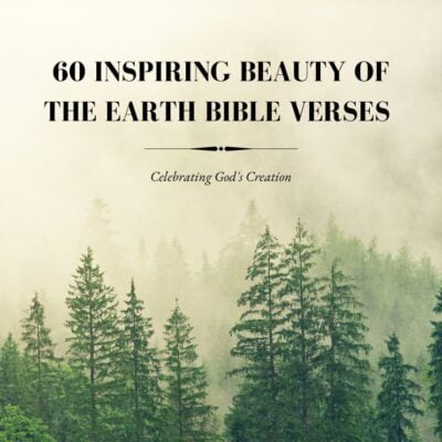 50 Beauty in Nature Bible Verses: Celebrating God's Creation